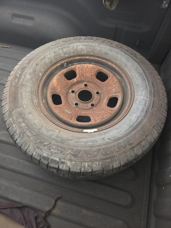🎁 Free Finds Around Punta Gorda — From Bird Cages to a Spare Tire ...