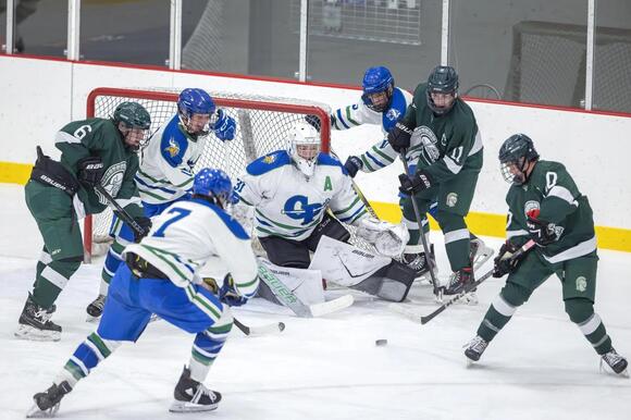 Boys' hockey: Bluebirds depend on experienced goaltender and offfensive ...