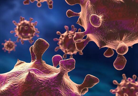 The 43% Human Rule: Understanding the Microbes That Make Up Most of ...
