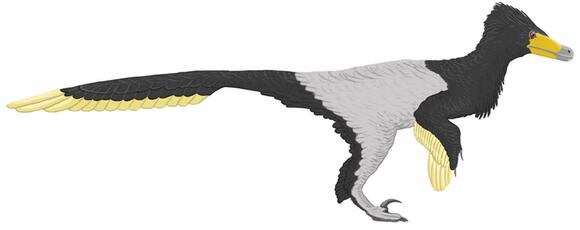 The Raptor Debate: Just How Smart Were They, Really? - NewsBreak