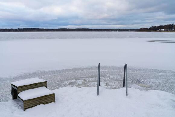 New York State Help Police Save Woman And Dog Who Fell Through Ice ...