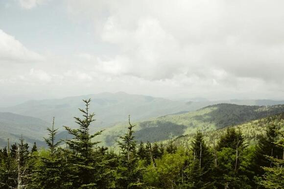 The Best Campgrounds for Families in U.S. National Parks - NewsBreak
