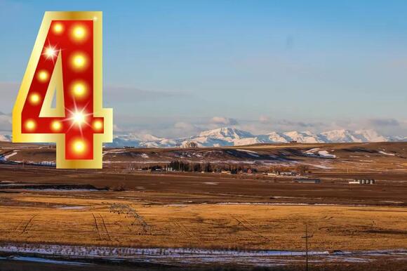 Montana’s Strangest Souvenir: The Legendary Turd Bird - NewsBreak