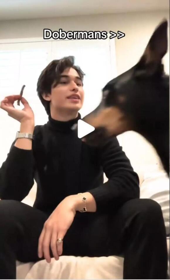 Texas’ Viral Robot Rizzbot Hit With $1M Assault Lawsuit - NewsBreak