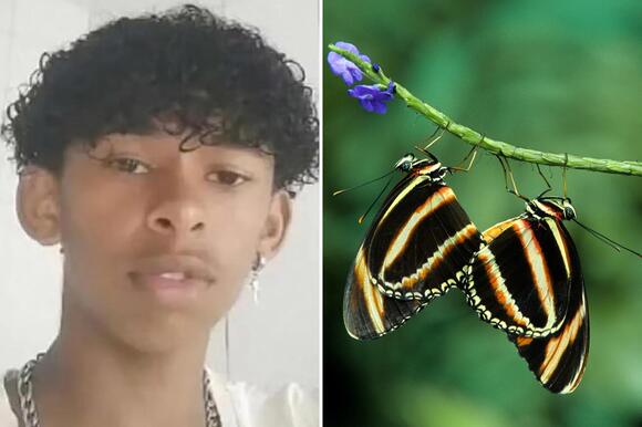 Teen dies after injecting himself with butterfly remains — possibly as ...