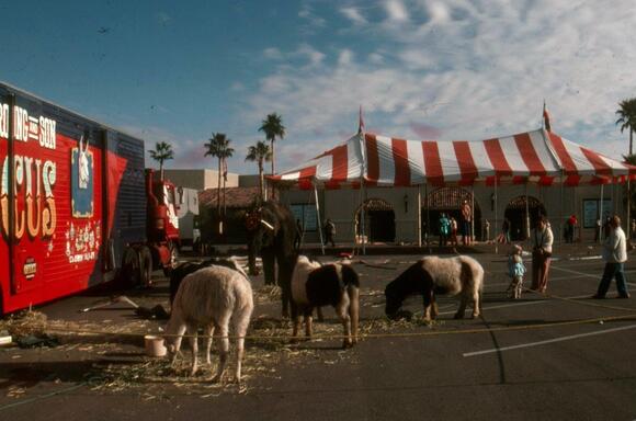 Signs of the past: The time the circus came to Sun City West - NewsBreak