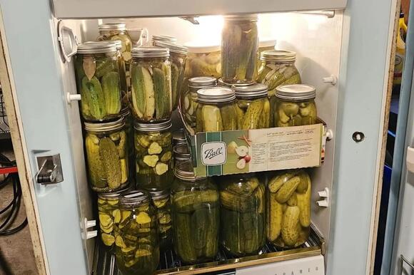 Overrun with cucumbers, gardener turns their garage beer fridge into a ...