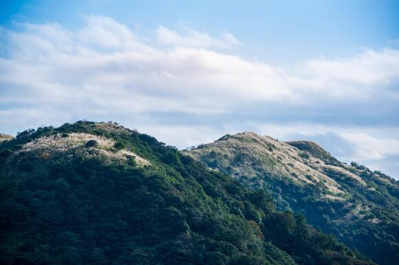 10 Terrifying Instances of People Falling Into Volcanoes - NewsBreak