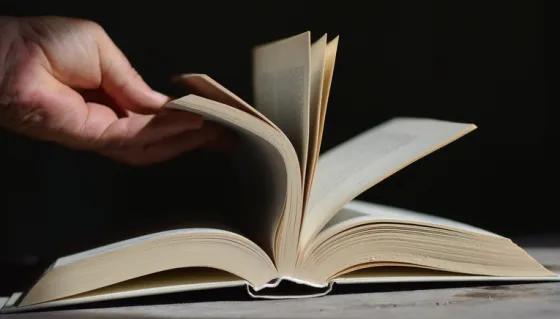 Philly Dictionary: 30 Words You Need to Know in Philly - NewsBreak