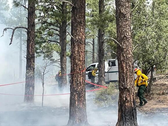 🔥 Small wildfire reported northwest of Tajique, NM - NewsBreak