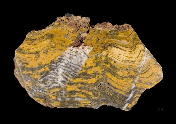 8 Things About the Ancient Oceans That Sound Like Science Fiction ...