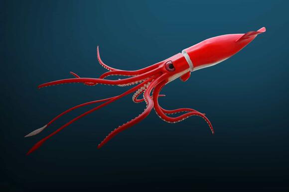 14 Most Surprising Secrets of Americas Ocean Depths - NewsBreak