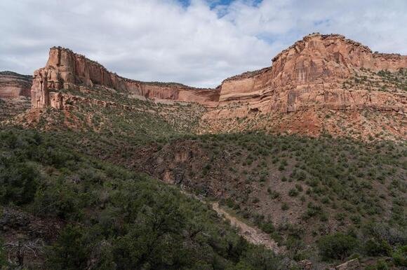Winter Trails in Grand Junction Locals Love - NewsBreak