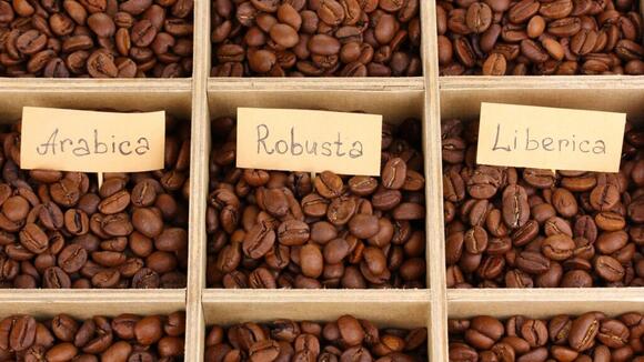 Coffee prices have climbed nearly 20% over the past year - NewsBreak
