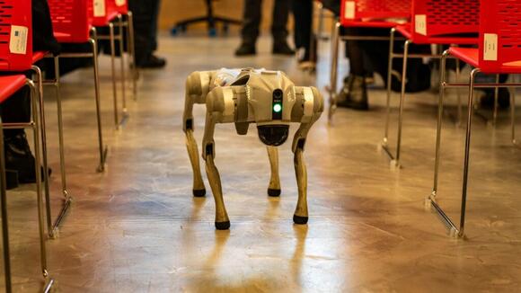 AI-trained robot dog conquers brutal slick terrain with zero human ...