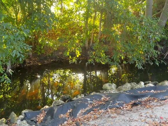 Fort Myers laid out response to fecal bacteria concerns at Manuel’s ...