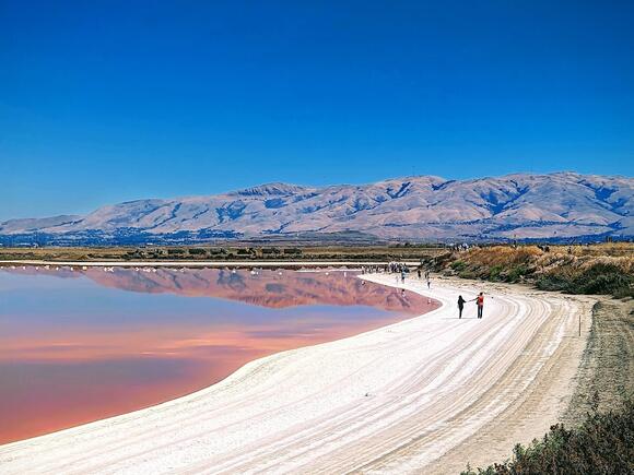 6 Easy Bay Trail Walks Near Sunnyvale, Made for Sunset Dates - NewsBreak