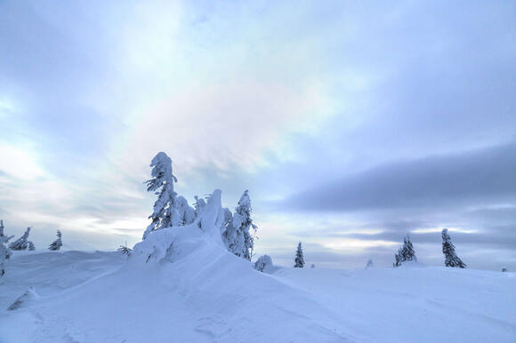 The Deepest Snowfall Ever Recorded in US History - NewsBreak
