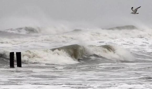 Camden family charged with NJ man's murder, body missing - NewsBreak