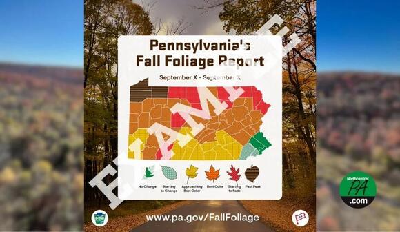 DCNR launches redesigned weekly fall foliage reports - NewsBreak