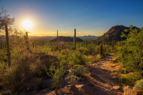 17 U.S. Cities With Nature Within Walking Distance - NewsBreak