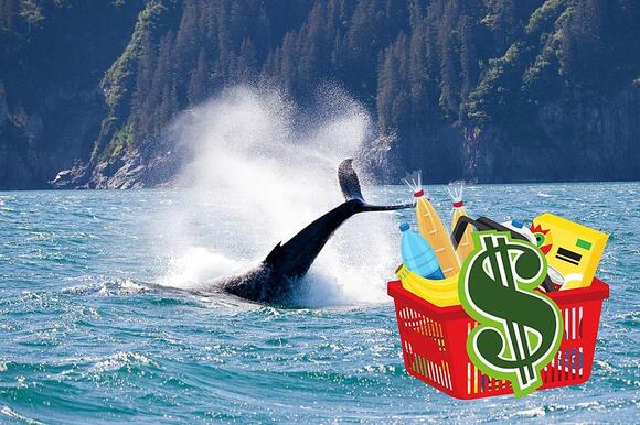 Plastic Bag Prices Going Up - NewsBreak