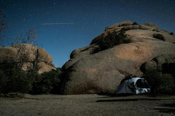 8 Best Things to Do in Joshua Tree National Park - NewsBreak