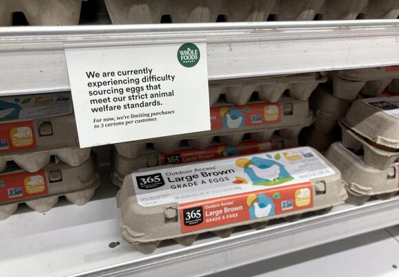 DOJ launches probe into sky-high egg prices and possible supply restrictions: report - NewsBreak