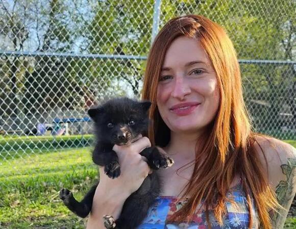 Minnesota animal rescuer’s suicide sparks calls to ban Reddit 'snark ...