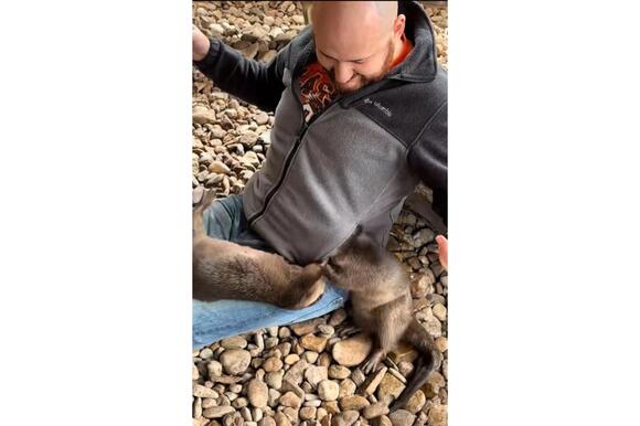 Texas Wildlife Park Otter Encounter is Pure Fun - NewsBreak