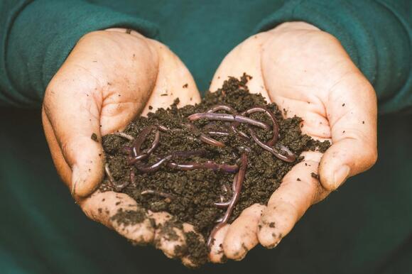 The Incredible Fisherman’s Secret Called ‘Worm Grunting’ Might Blow ...