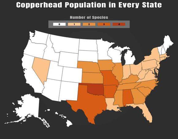 Copperhead Population By State - NewsBreak