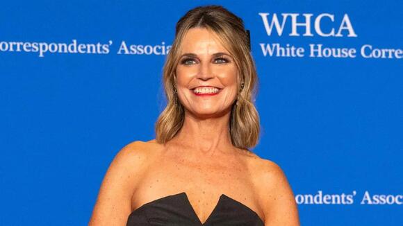 Savannah Guthrie's Net Worth Revealed — After 'Today' Co-Anchor Offered ...