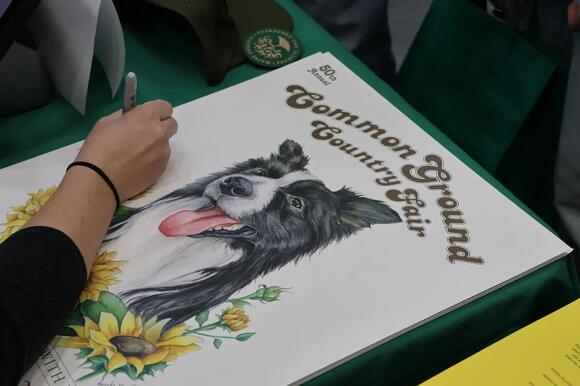 50th Common Ground Country Fair poster to feature border collie - NewsBreak