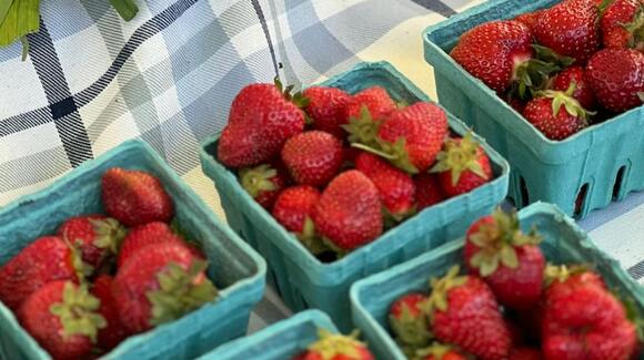 You're Invited: Book Love’s Farmers Market in Plymouth Reveals Opening ...