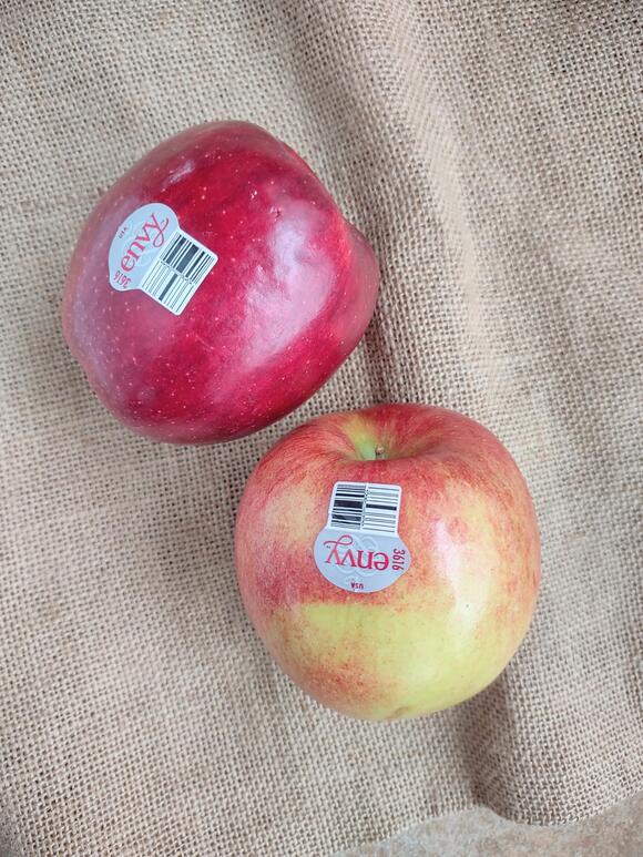 Things to Know About Envy Apples Before You Put Them in Your Cart ...