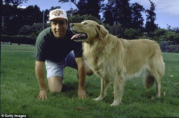 Air Bud creator Kevin DiCicco dead at 63 after revealing major health ...