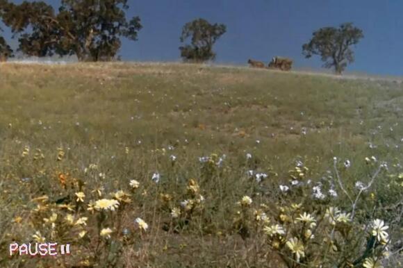 Minnesota Hospitals Shine On Forbes' First-ever Top List - NewsBreak