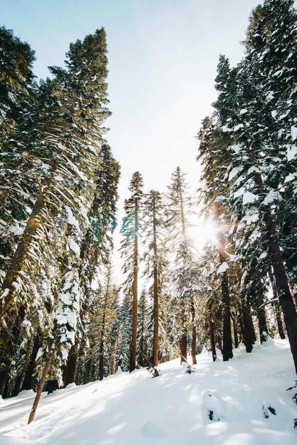 California Snow Report 2026: California Snowpack Levels by Region ...