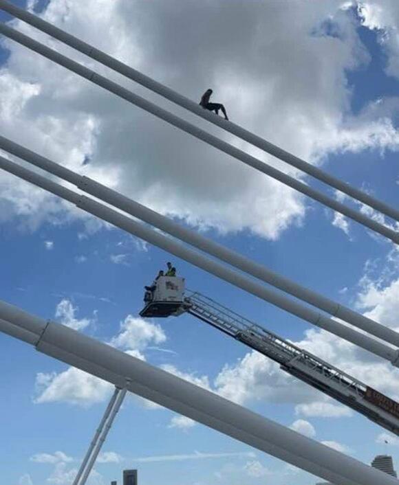 Man safe after climbing up cable of New Harbor Bridge - NewsBreak