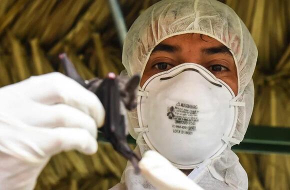 Zoonotic Spillovers: How Viruses Jump From Animals to Humans - NewsBreak