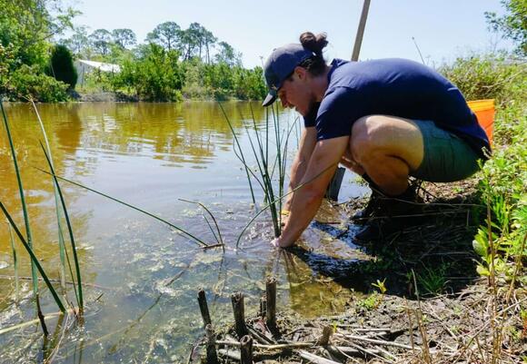 What Caused a Sudden Fish Die-Off in a Popular U.S. Lake? - NewsBreak