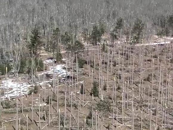 Interactive map shows road clearing progress after ice storm in Northern MI - NewsBreak