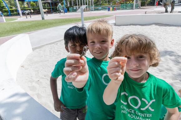 School is Out, Science is In - NewsBreak