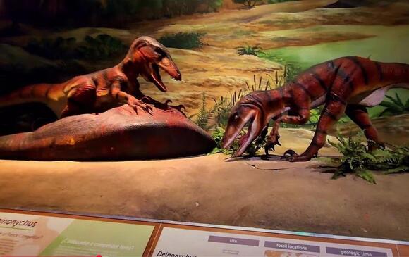 Changes Ahead For The Iconic Dinosaur Exhibit In Seattle - NewsBreak