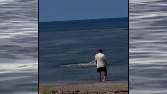 A tourist on vacation in Hawaii gets detained after allegedly throwing ...
