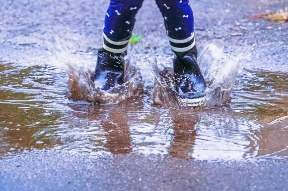 The Truth About How Minnesota Trees Survive Cold Temperatures - NewsBreak