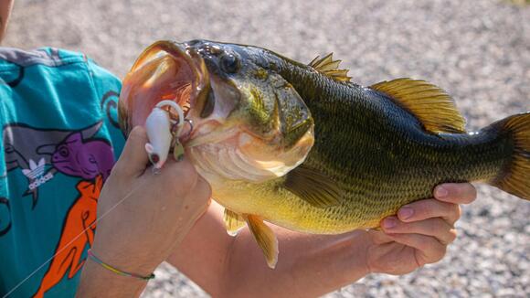 Major bass fishing tournament rocked by $1.5 million scandal - NewsBreak
