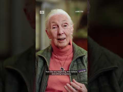 World-Renowned Primatologist Jane Goodall Passes Away at 91 - NewsBreak