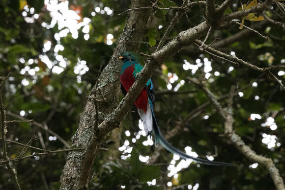 Places To See Wildlife Without A Zoo - NewsBreak